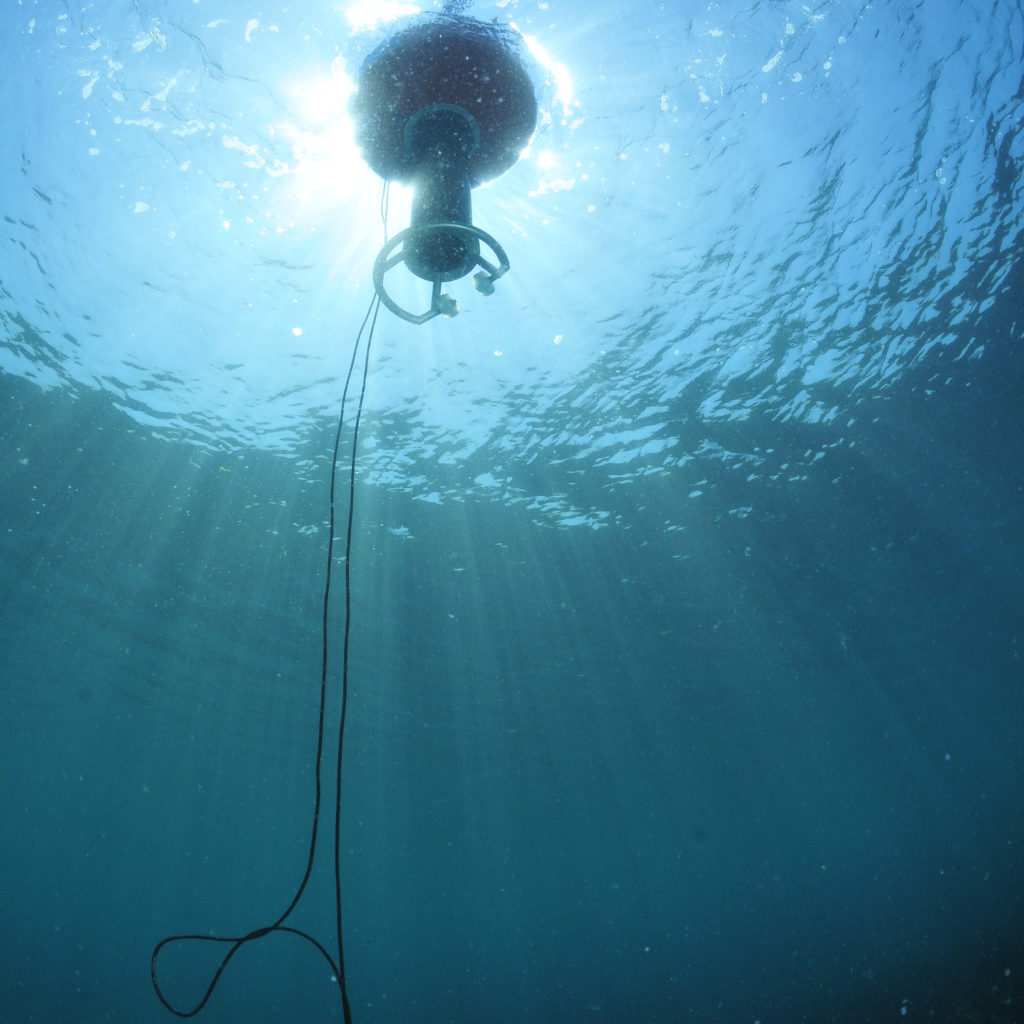 Buoys for acoustic or multiparameter monitoring by RTSYS Underwater ...